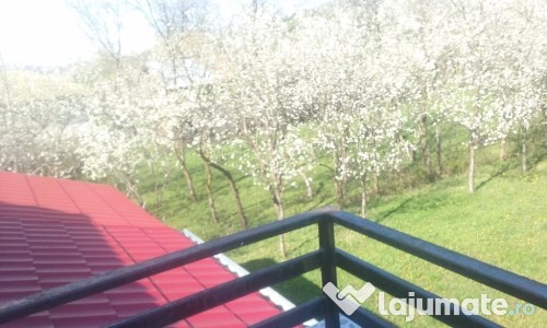 Ce case de vacanta se mai vind pe lajumate.ro | Antena 1